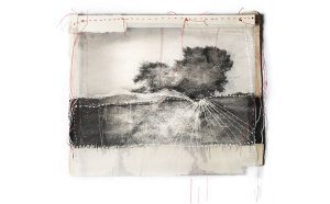 Jackie Mulder: Breaking Free and Challenging Conventional Norms - AATONAU